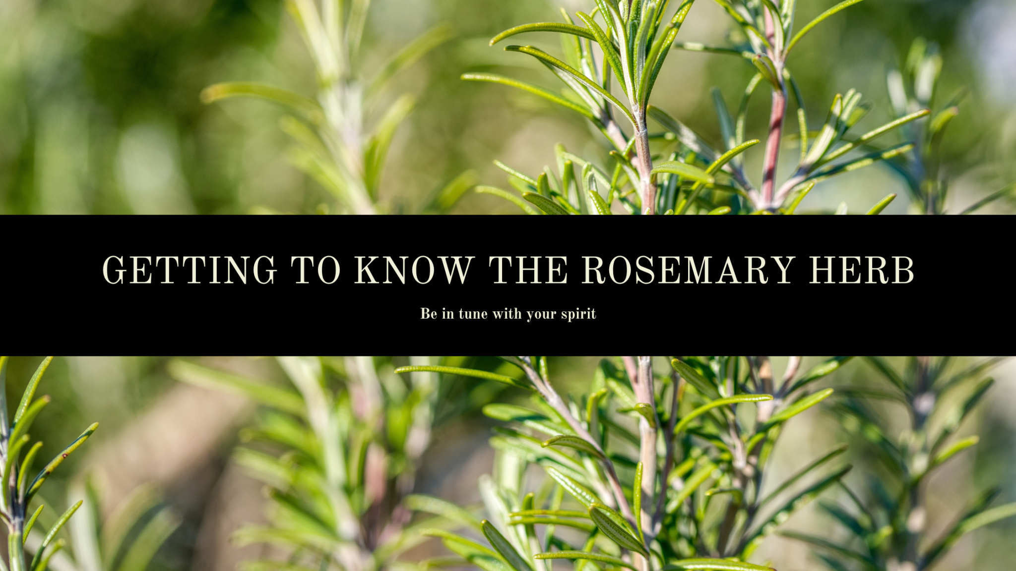 Tekolo ya ditoro – Go lora ka meetse